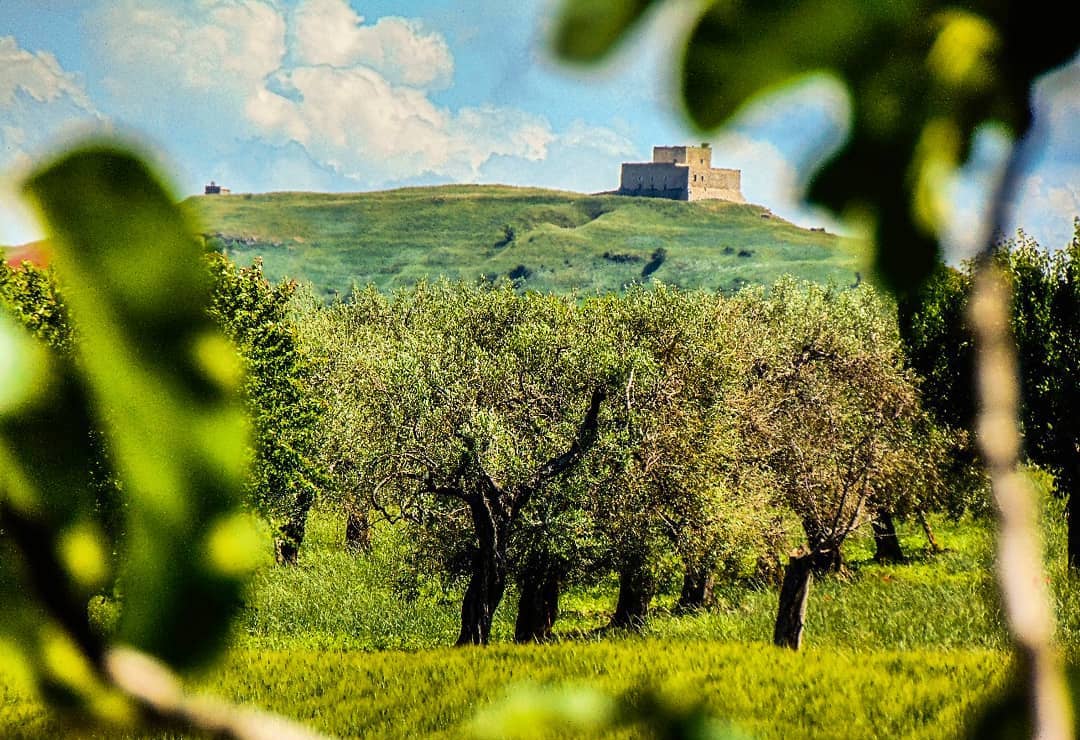 Masseria Loizzo – Fame Italiana
